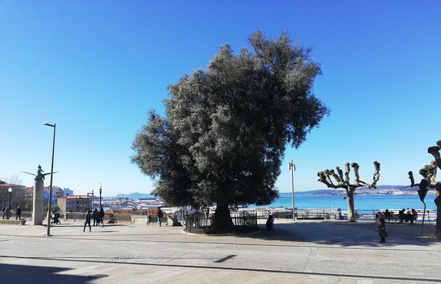 El BNG de Vigo exige que Caballero desista del túnel de Porta do Sol a ...